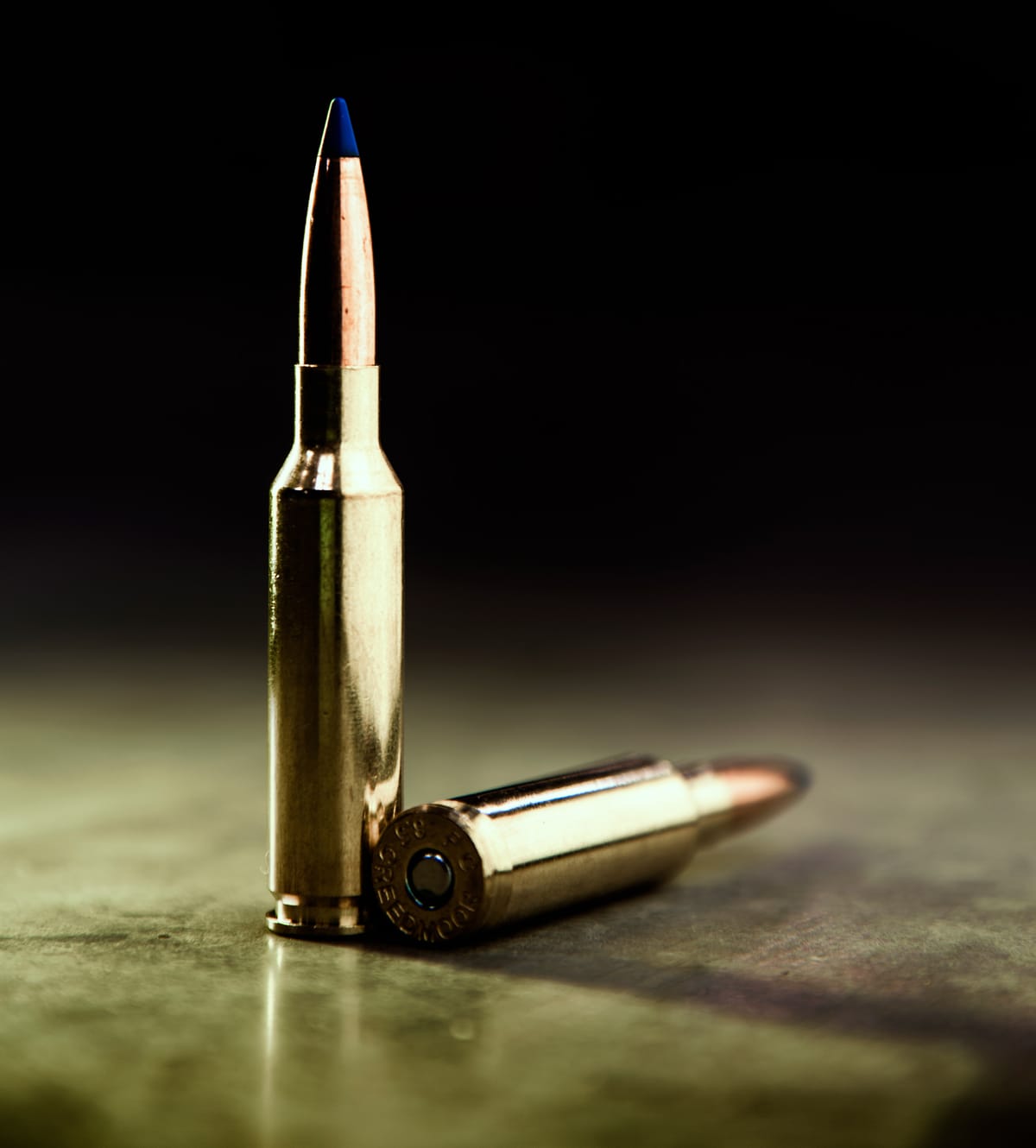 The Venerable 6.5 Creedmoor